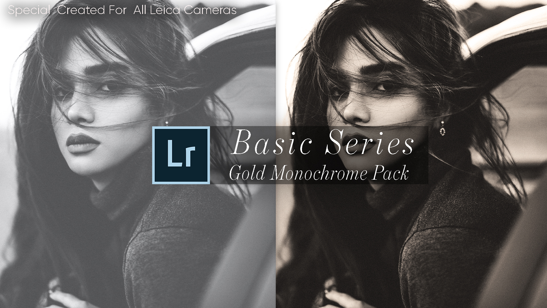 Basic Gold Monochrome Lightroom Presets - LEICA REVIEW